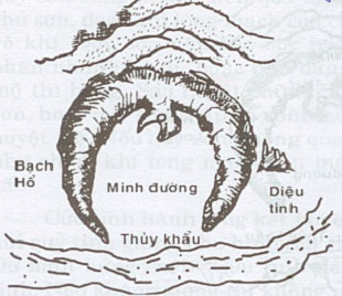 Diệu tinh là khí quý của long mạch