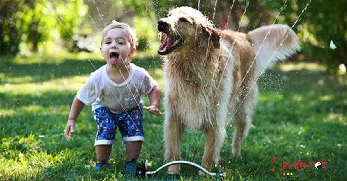 Ý nghĩa biểu tượng con chó trong phong thủy