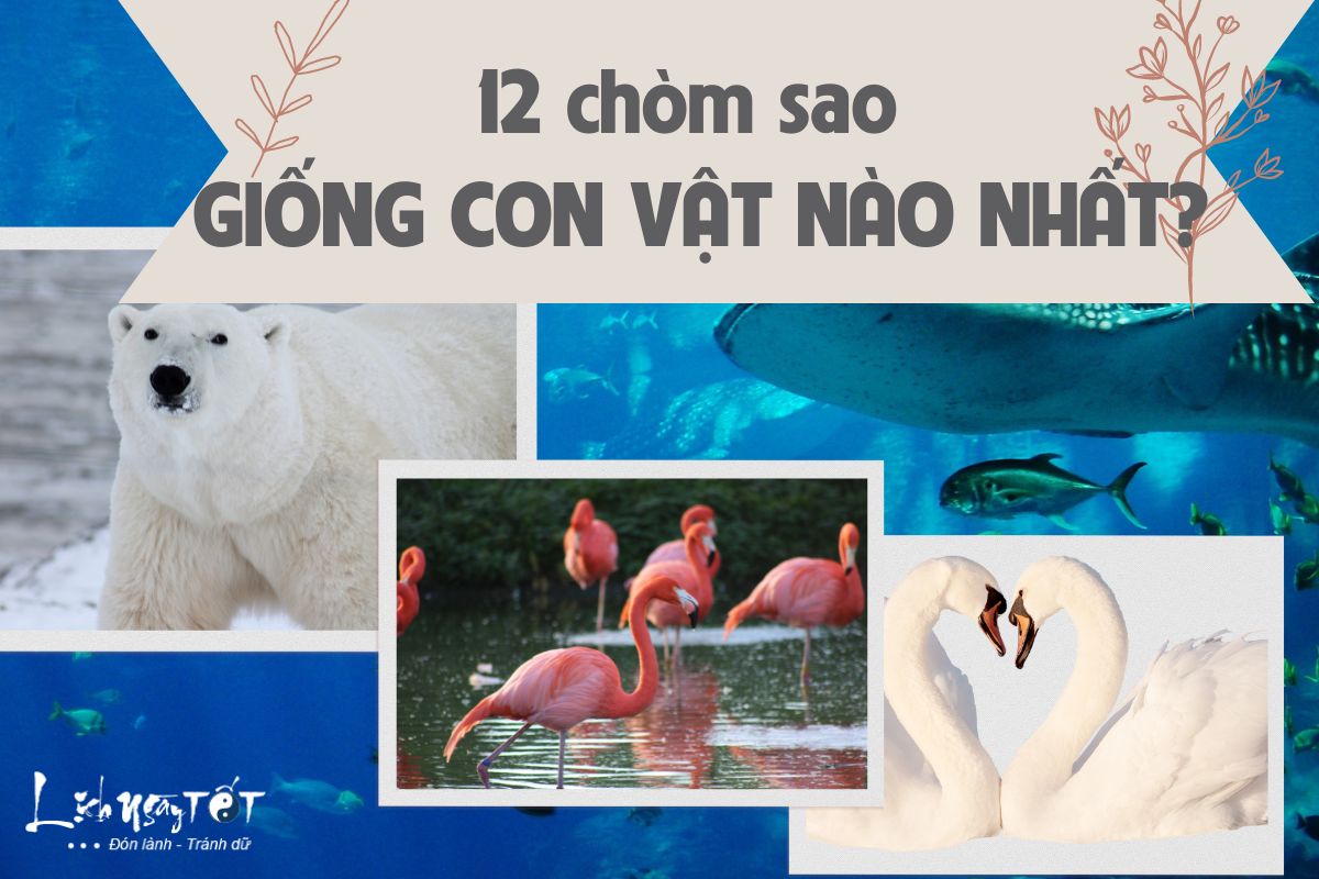 Tính cách 12 chòm sao giống con vật nào nhất: Đúng với bạn không?