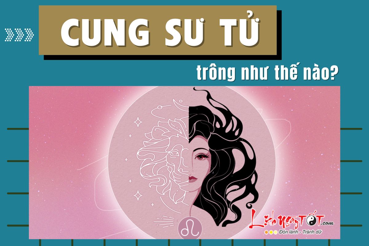 Sư Tử trông như thế nào? Điều gì tạo nên sự duyên dáng mạnh mẽ?