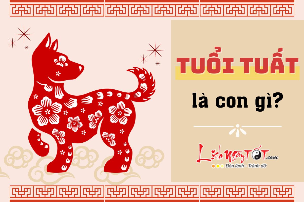 Tuất là con gì? Những đặc trưng cơ bản của người tuổi Tuất