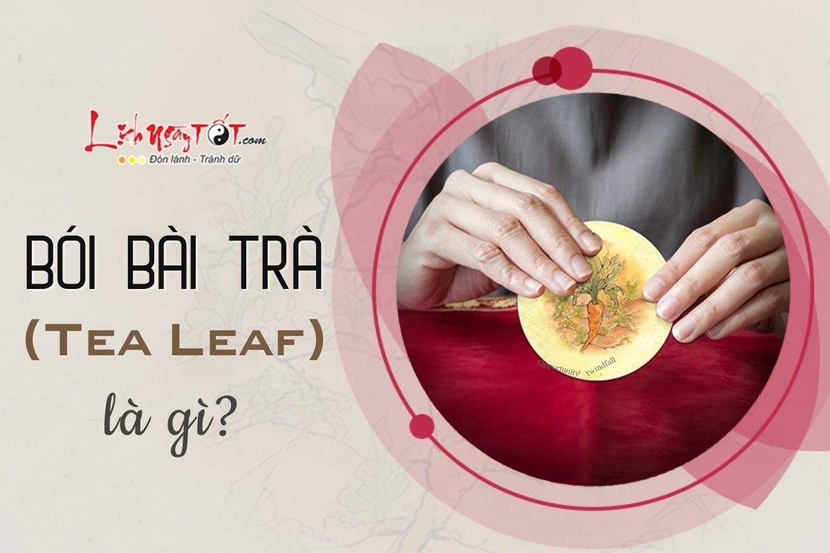 Bói bài trà là gì? Các phương pháp xem bói bài trà Tea Leaf